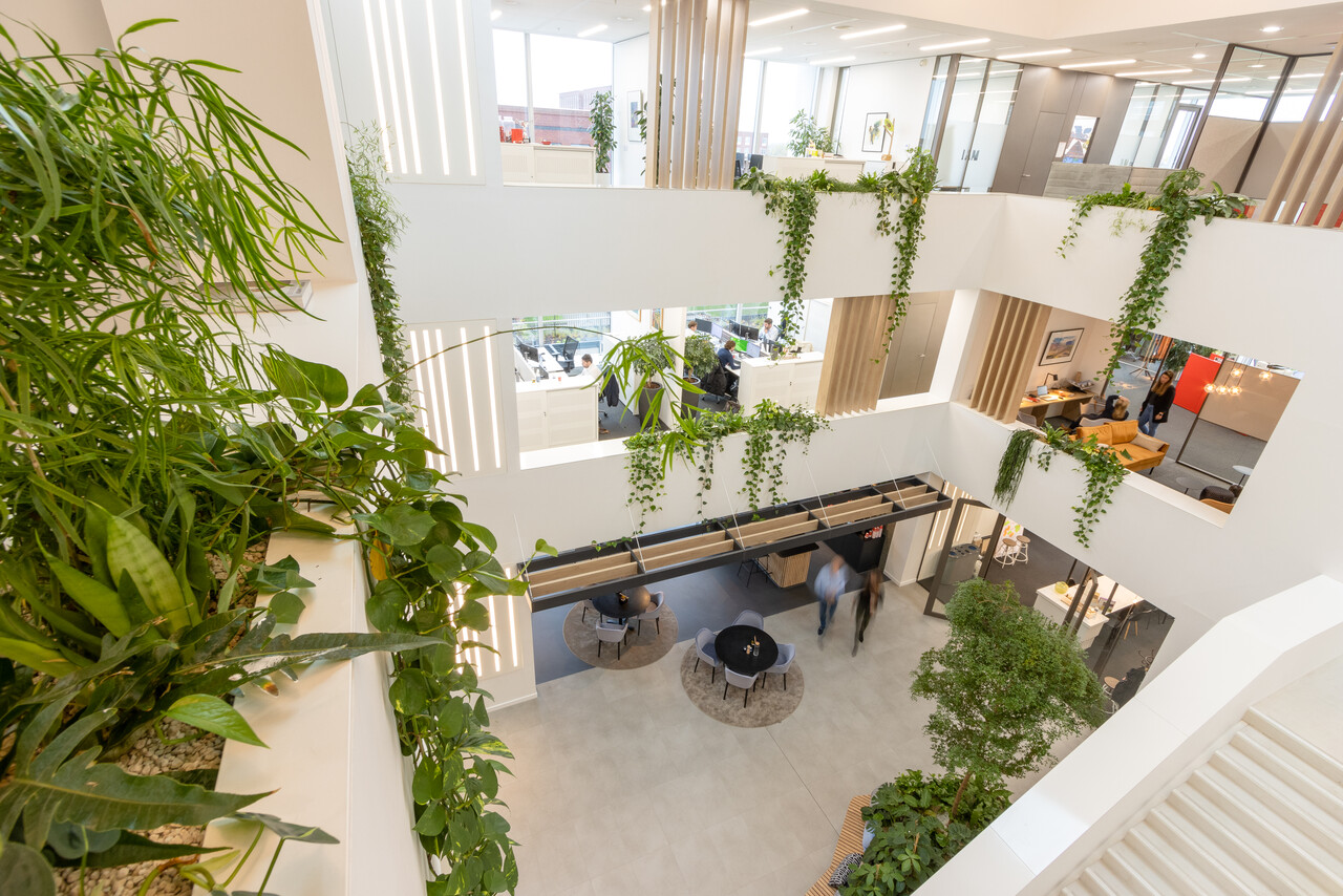 Working at AM - AM | Developers of impact